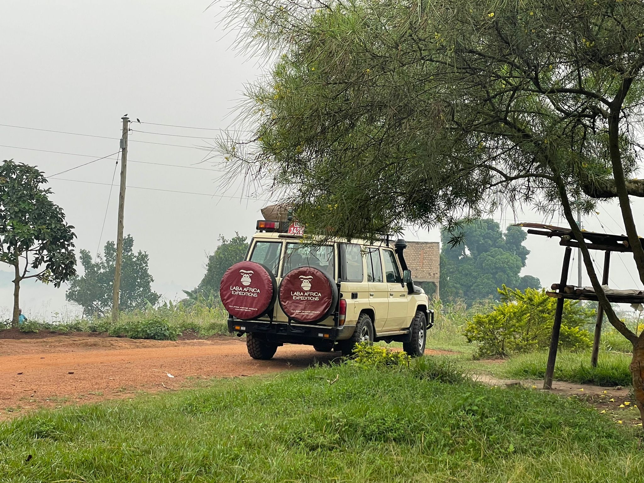 Tanzania Self-Drive safari | Tanzania Safaris | Laba Africa