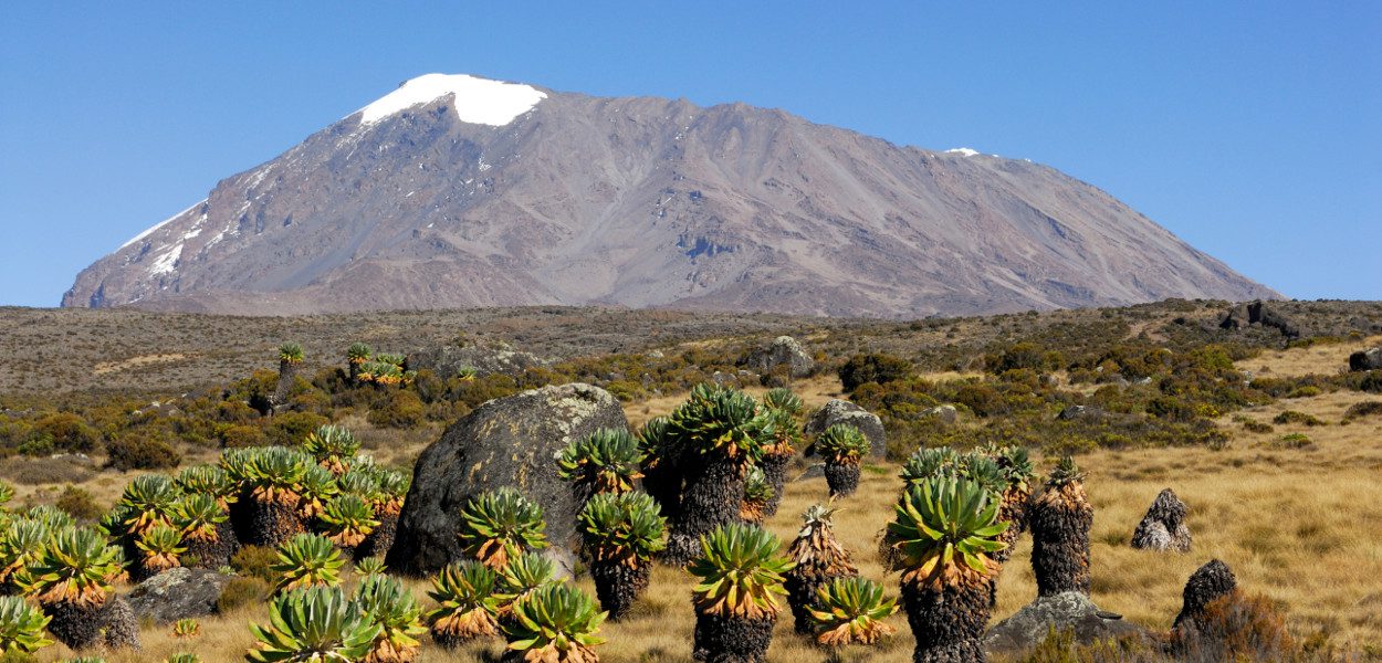 Mount Meru | Laba Africa Expeditions